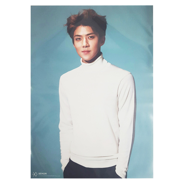 ktown4u.com : [SUM] EXO - A4 Photo [Sing For You]